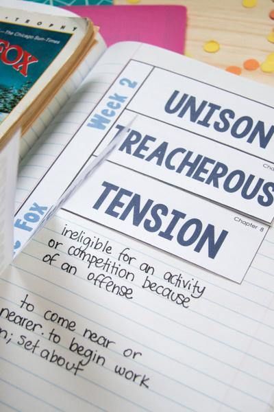 Stone Fox Novel Study – Differentiated Teaching with Rebecca Davies